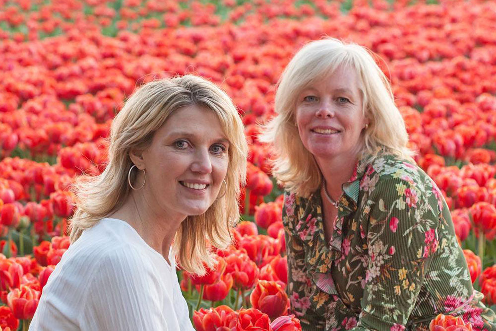 Tips on how to grow your own tulips from Fam Flower Farm – Bloomeffects