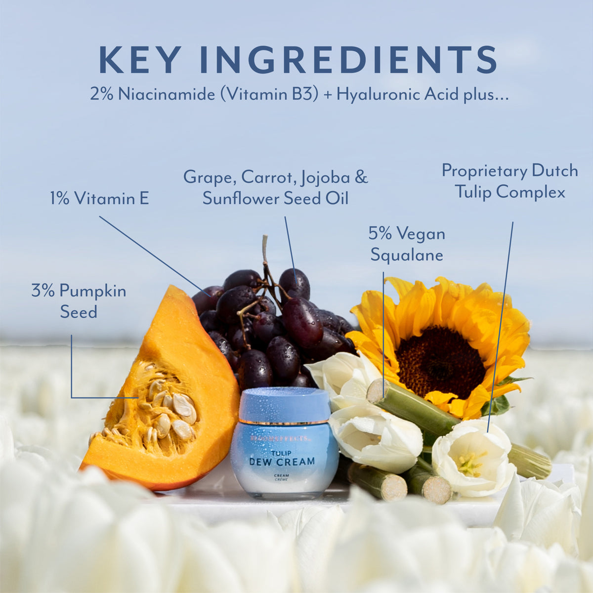 Multivitamin Moisturizer to Hydrate, Smooth and Protect Skin | Tulip ...